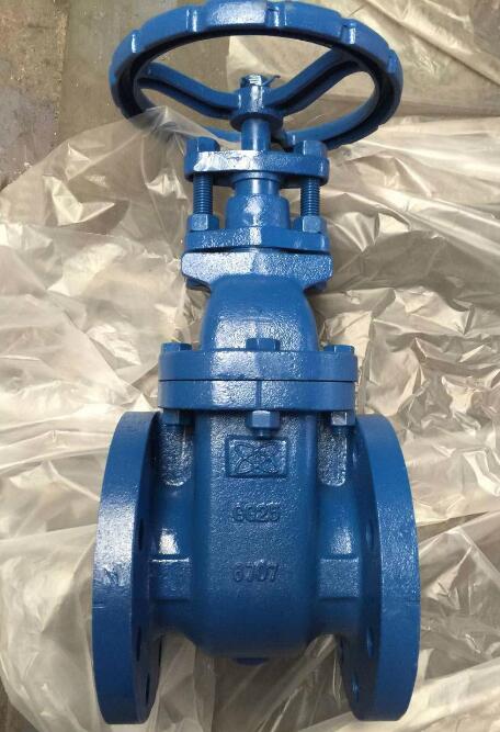 Z41H/Z45H德标闸阀