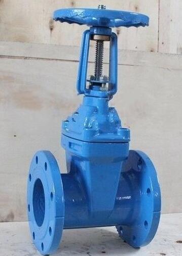 (RVHX) Z41X明杆闸阀